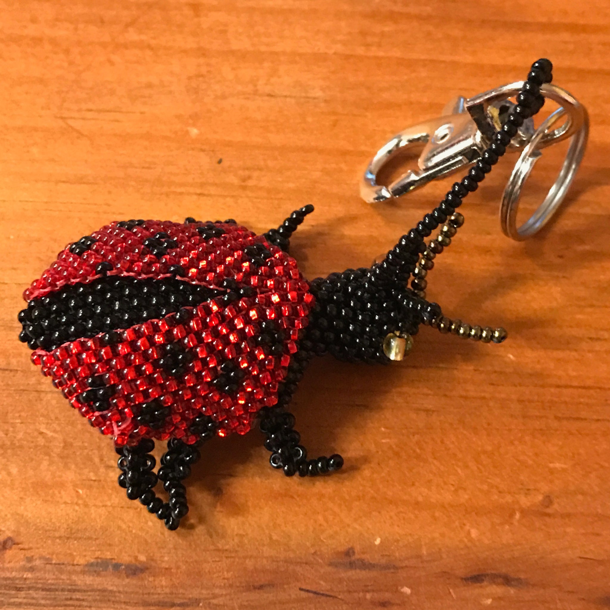 Bug Key Chains